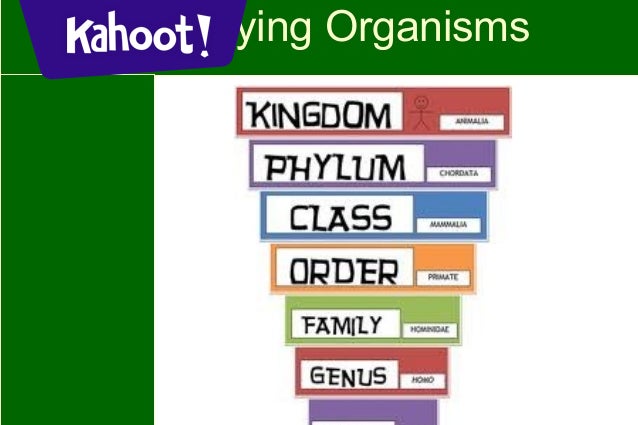 Classification - Kahoot! Quiz