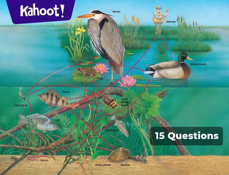 AQA GCSE Geography: Living World - Ecosystems - Kahoot! Quiz