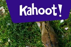 6 Pete vs the Python Questions ReadWorks - Kahoot! Quiz