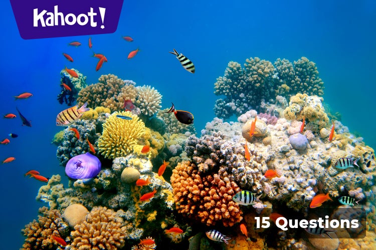 Kingdom Animalia for Marine Science - Kahoot! Quiz