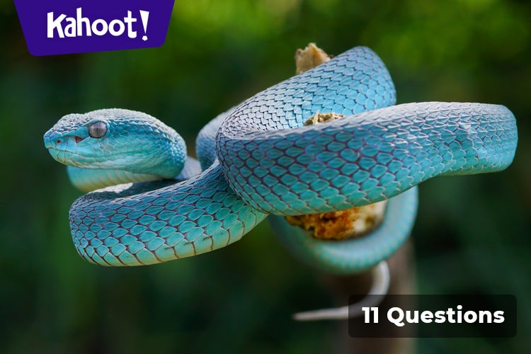 Schepping en zondeval - Kahoot! Quiz