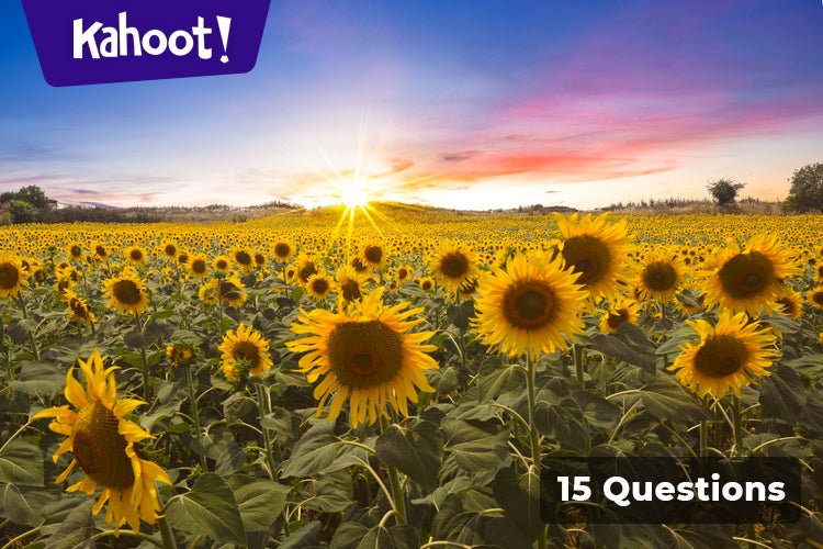 Plant Parts and Function - Kahoot! Quiz