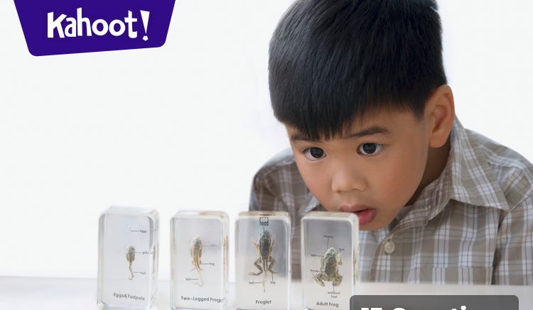 Phases SDLC - Kahoot! Quiz