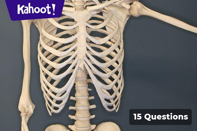 Skeletal and muscular system revision - Kahoot! Quiz