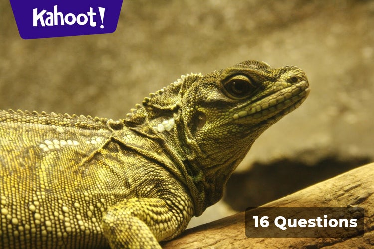 Reptiles - Kahoot! Quiz