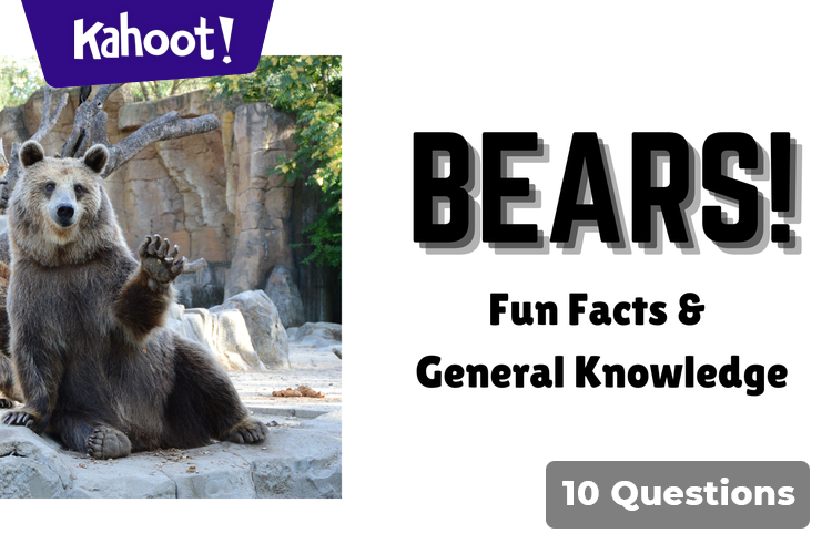 All about BEARS! Fun Facts & General Trivia - Kahoot! Quiz