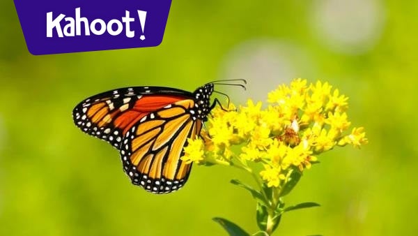 Plant Reproduction and Photosynthesis - Kahoot! Quiz