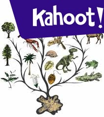 NHS Evolution - Kahoot! Quiz