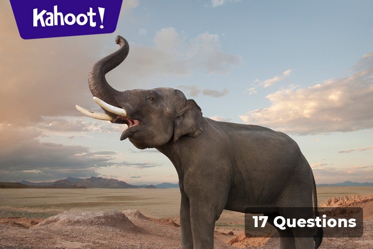 The Secret Language of Elephants - Kahoot! Quiz