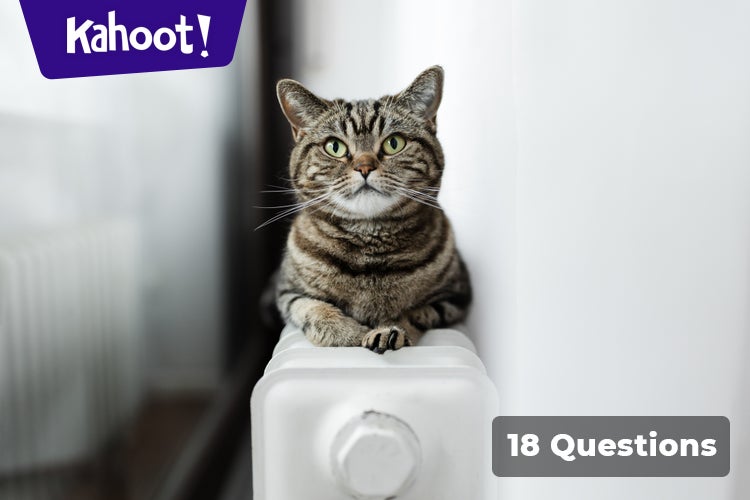 Parts of Speech - Kahoot! Quiz