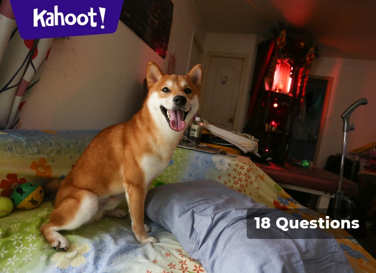 Hachiko: The True Story of a Loyal Dog -- Selection Test REVIEW ...
