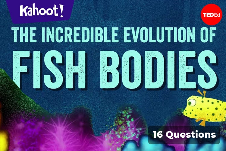 Why are fish fish-shaped? - Kahoot! Quiz