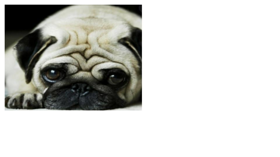 McGraw Hill 1st Grade Chapter 5 Math Review - Kahoot! Quiz