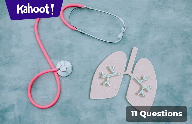 Respiratory anatomy - Kahoot! Quiz