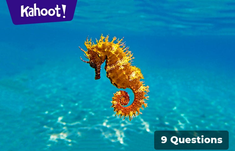 The benefits of a good night's sleep - Kahoot! Quiz