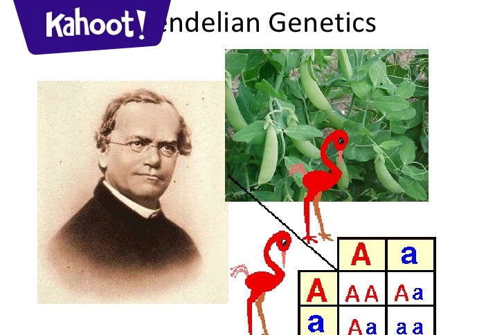 Genetics - Kahoot! Quiz
