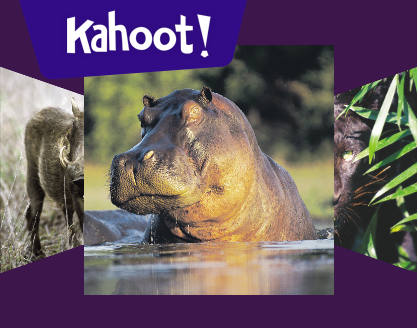 QUINTO GRADO - Unit 3. - Awesome animals - Kahoot! Quiz