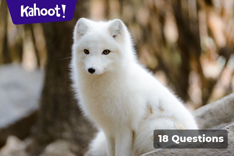 Animal conservation and environment vocabulary - Kahoot! Quiz