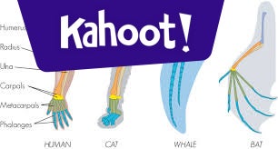 Unit 5: Evolution Review - Kahoot! Quiz