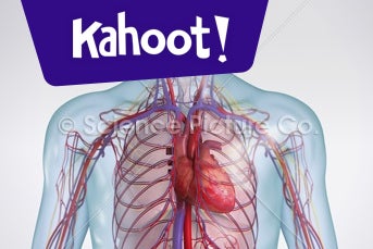 Duplicate of The Cardiovascular System - Kahoot! Quiz