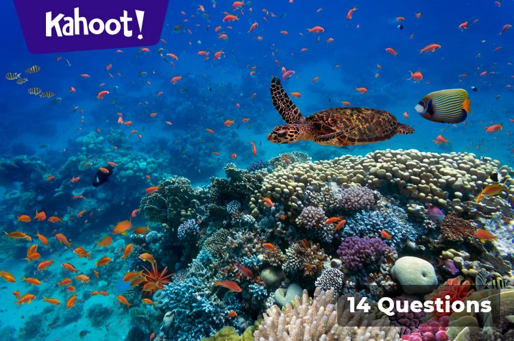 Marine Food Webs and Overfishing - Kahoot! Quiz