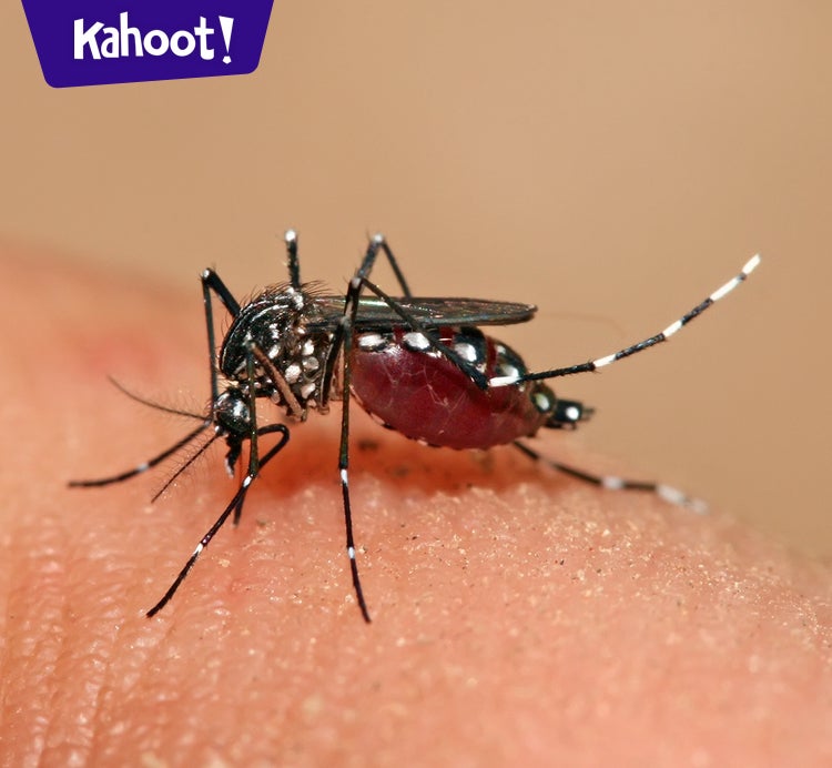 Who's got Dengue Fever? - Kahoot! Quiz