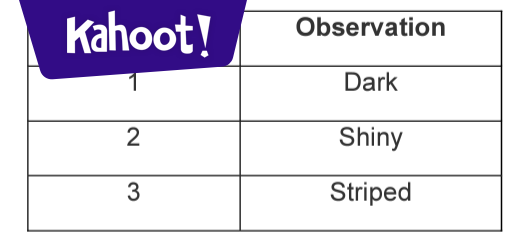Soil and Rock Summative Assessment - Kahoot! Quiz