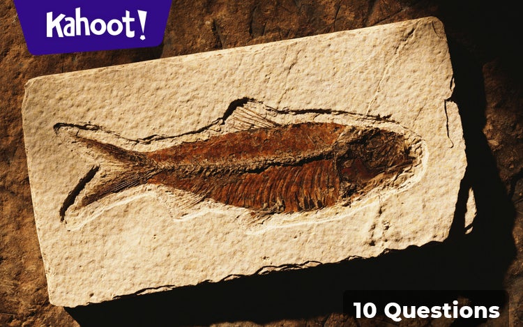 Fossils - Kahoot! Quiz