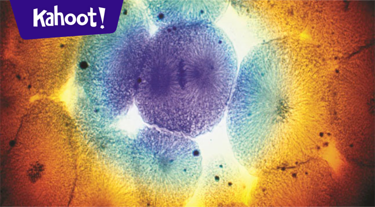 Our Cell Cycle Blind Kahoot - Kahoot! Quiz