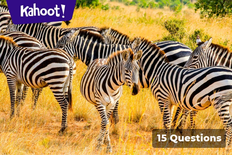 Animals - Kahoot! Quiz