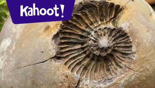 All about fossils! - Kahoot! Quiz