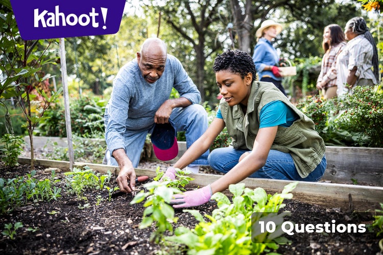 Preguntas con: Whose...is/are...? - Kahoot! Quiz