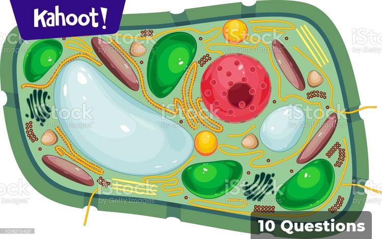 Biology:Structure of a cell - Kahoot! Quiz