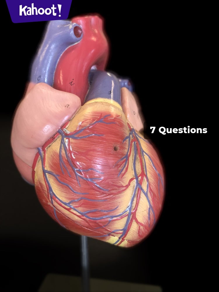 Heart / Cardiovascular Anatomy - Kahoot! Quiz