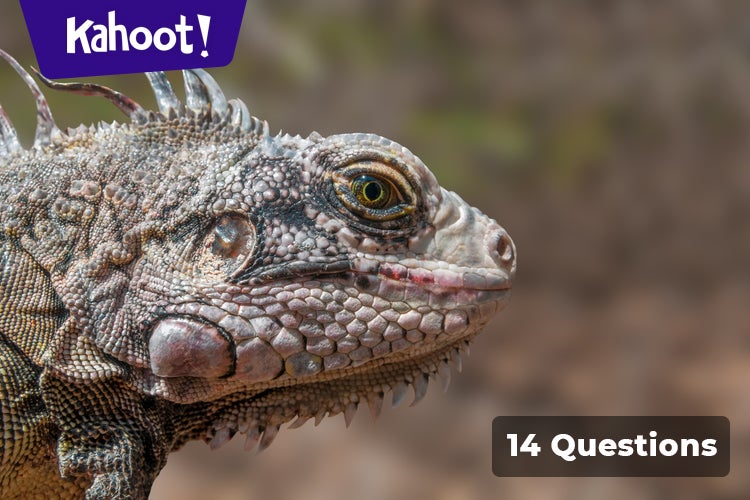 Endangered species - Kahoot! Quiz