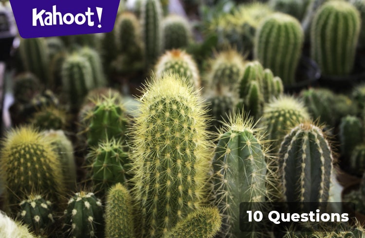 Revision Plant and Animal adaptations - Kahoot! Quiz