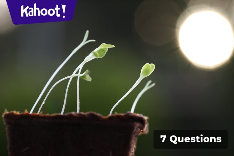 8th Science #1 - Kahoot! Quiz