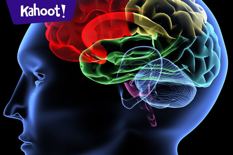 Anatomy_Nervous System and Sensory Organs - Kahoot! Quiz