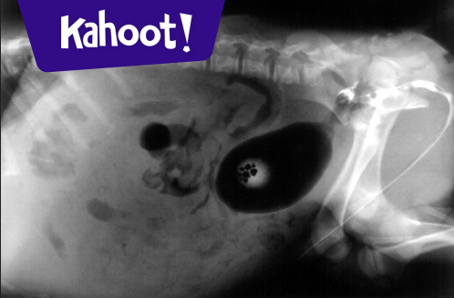 Advanced Imaging - Kahoot! Quiz