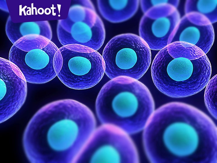 L1: Characteristics of Life, Cell Theory, Key Scientists, and Cell ...