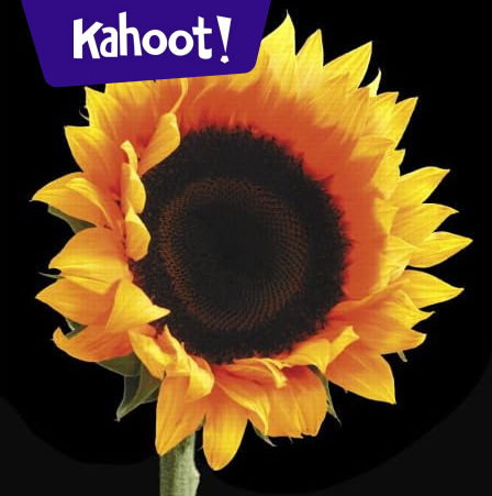 AP Biology Chapter 15: The Chromosomal Basis of Inheritance - Kahoot! Quiz