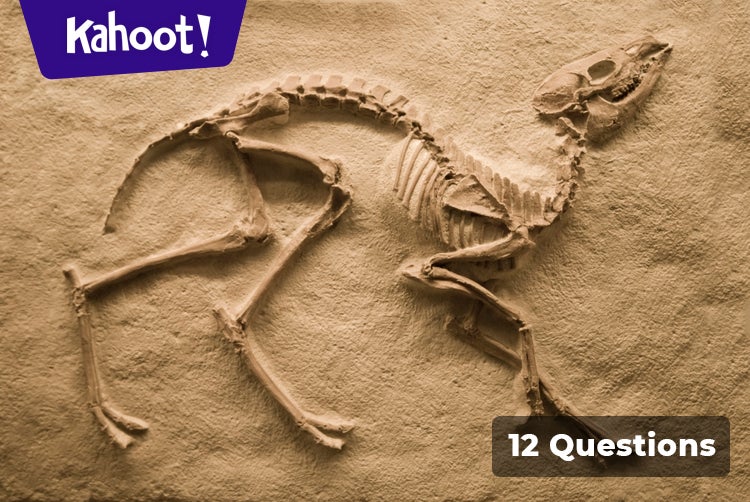 Types of Rocks - Y2 - Kahoot! Quiz