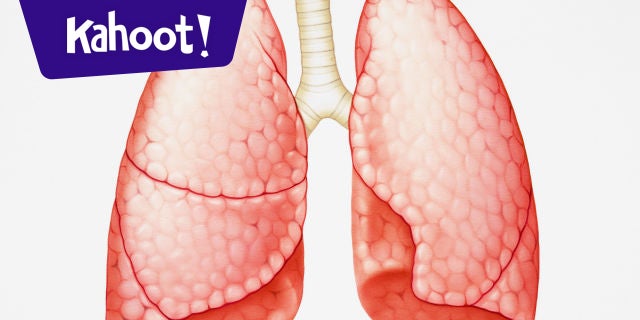 respiratory - Kahoot! Quiz