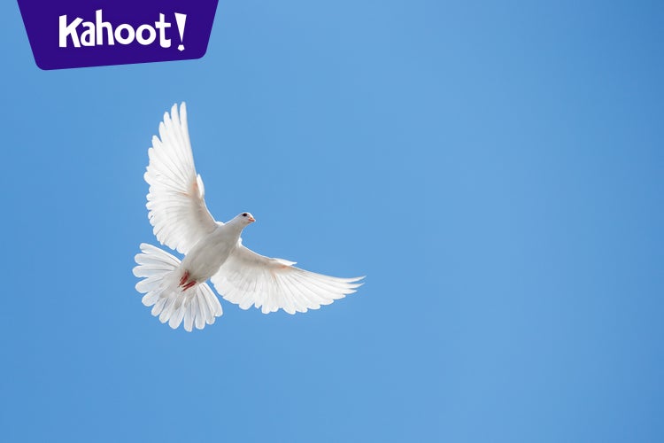 White Bird - Part 1 - Kahoot! Quiz
