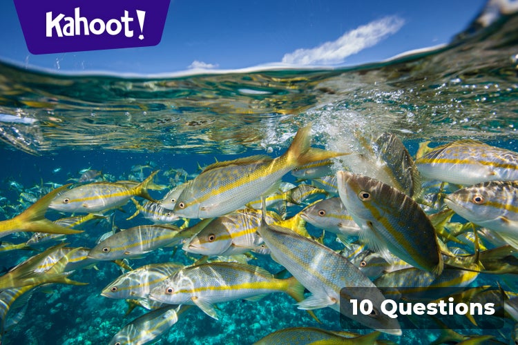 Review for Oral Exam #1 PHI 215 - Kahoot! Quiz