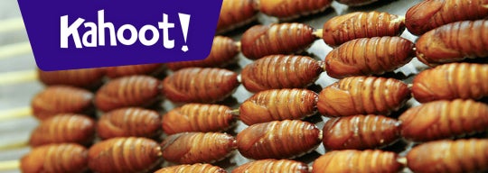 Bizarre foods - Kahoot! Quiz