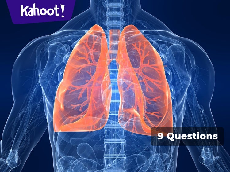 RAD 221 - Respiratory System 1 - Kahoot! Quiz