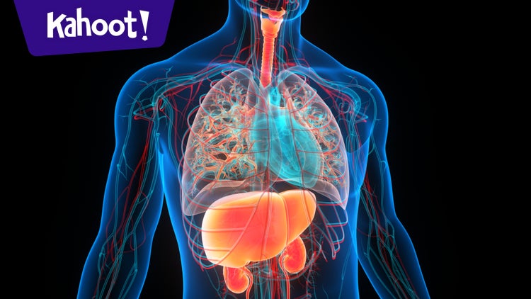 Anatomy & Physiology - Kahoot! Quiz