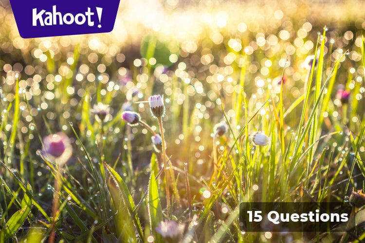 Spring - Kahoot! Quiz