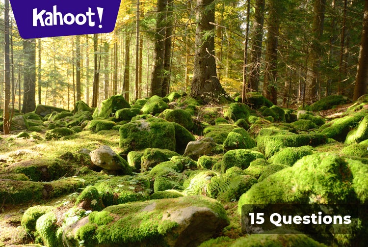 Plants - Kahoot! Quiz